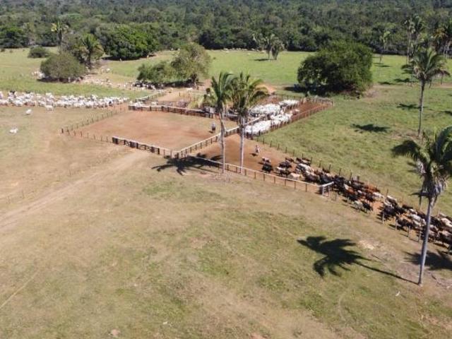 FAZENDA EM SÃO FÉLIX DO ARAGUAIA, MATO GROSSO 2.815 HECTARES, PLANA, DUPLA APTIDÃO, MUITA ÁGUA