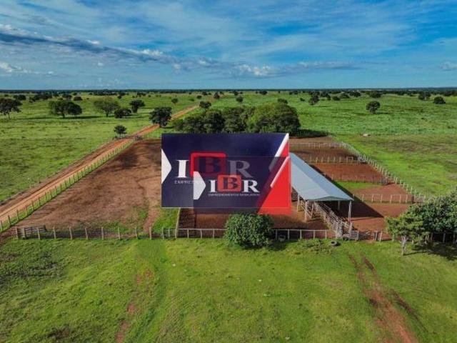 Fazenda em São Félix do Araguaia MT