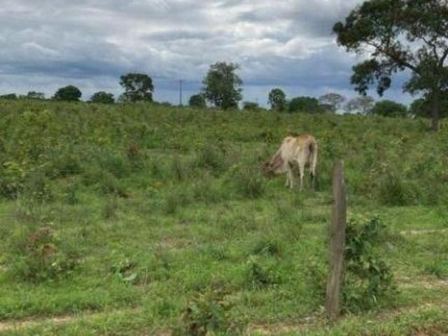 Fazenda em São Francisco