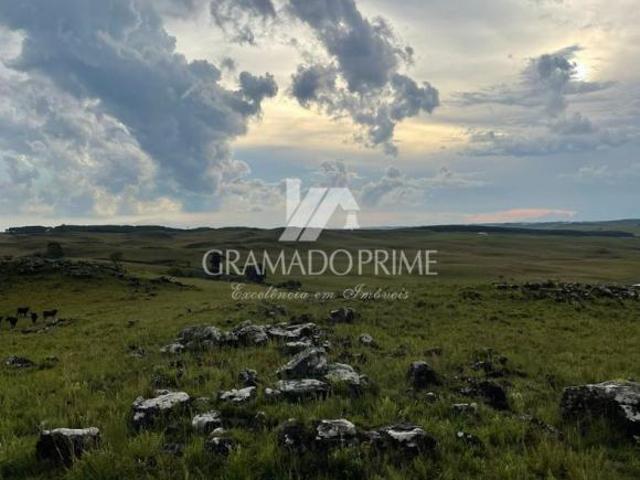 FAZENDA EM SÃO FRANCISCO DE PAULA!