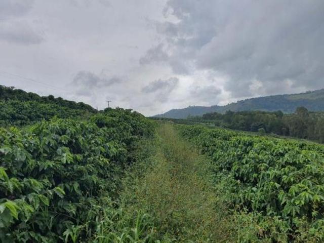 Fazenda em, São Gonçalo do Sapucaí/MG de 200m² à venda por R$ 21.000.000,00