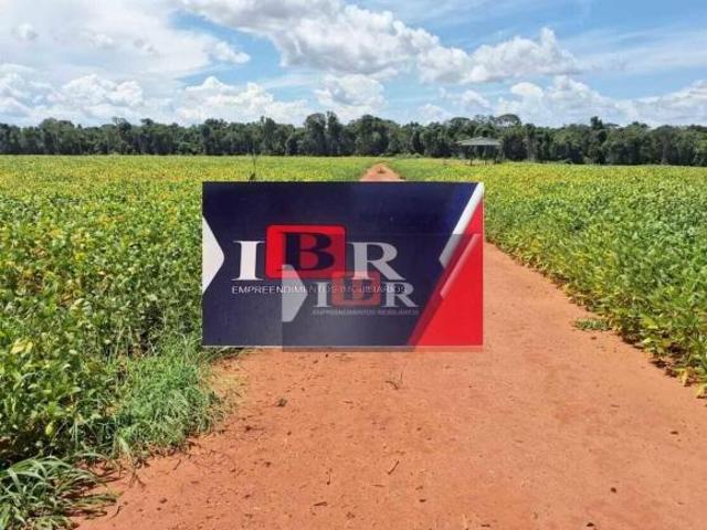 Fazenda em São José do Rio Claro MT