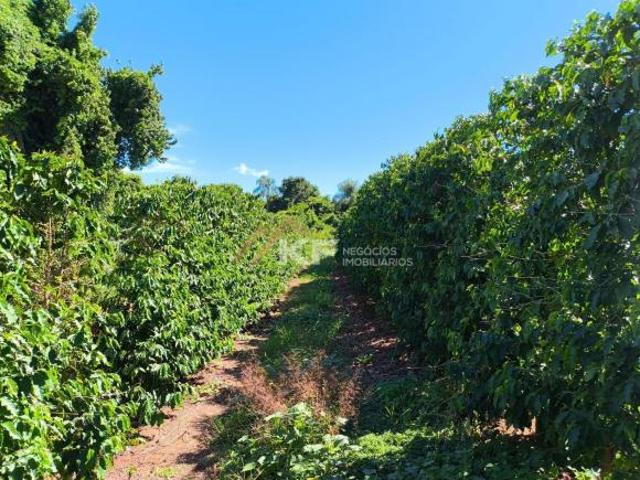 Fazenda em São José do Rio Preto SP