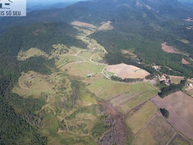 Fazenda em São José dos Pinhais