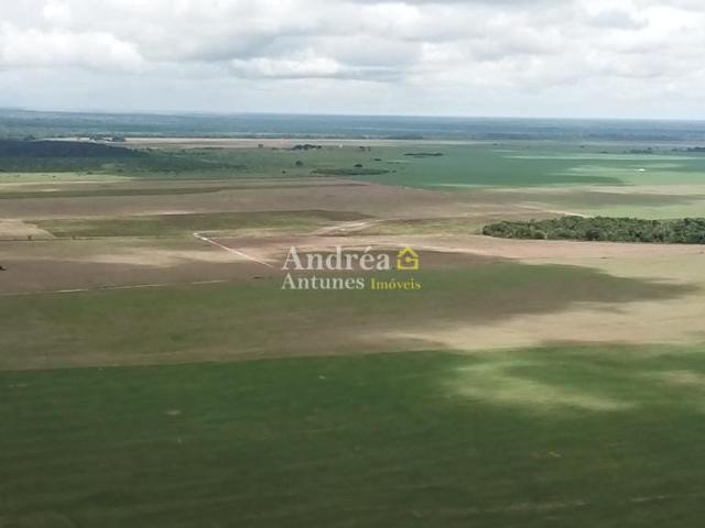 Fazenda em, Santa Terezinha/MT de 20303m² à venda por R$ 1.999.000,00