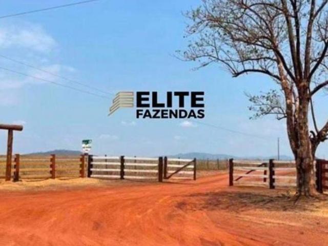 FAZENDA EM SANTA TERESINA MATO GROSSO COM 4.236 HECTARES
