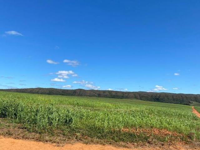 Fazenda em Santo Antônio do Rio Verde, Catalão/GO
