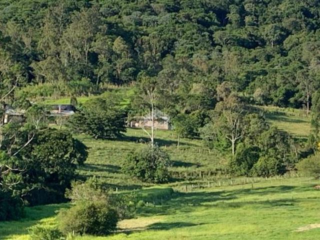 Fazenda em Santo Antônio da Patrulha