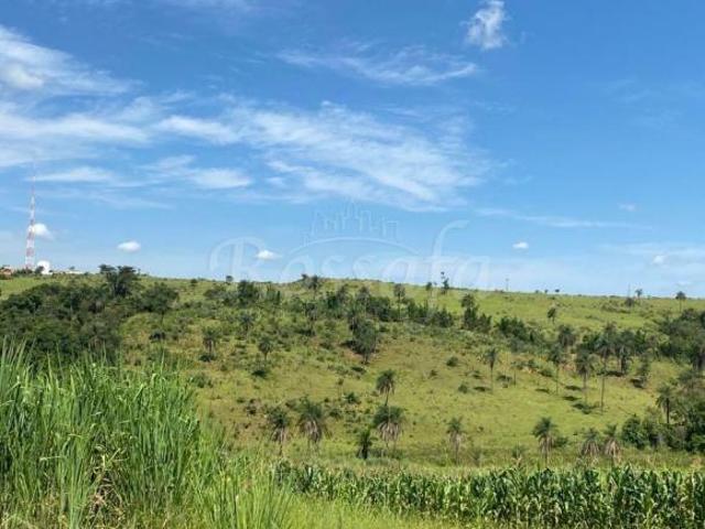 Fazenda em Santo Antônio de Posse/SP