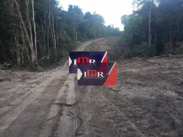 Fazenda em Sapezal MT