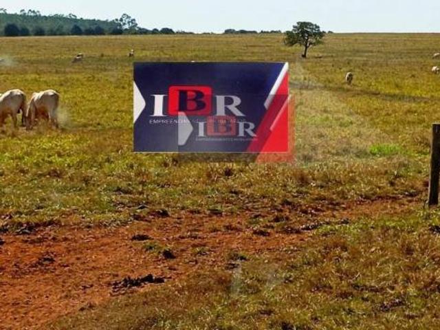 Fazenda em Selvira MS