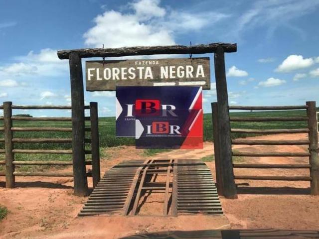 Fazenda em Sete Quedas MS