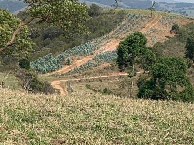 Fazenda em Silveiras
