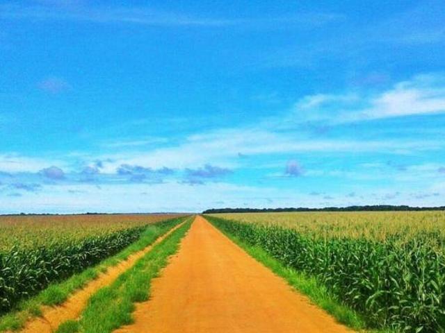 Fazenda em Sinop MT