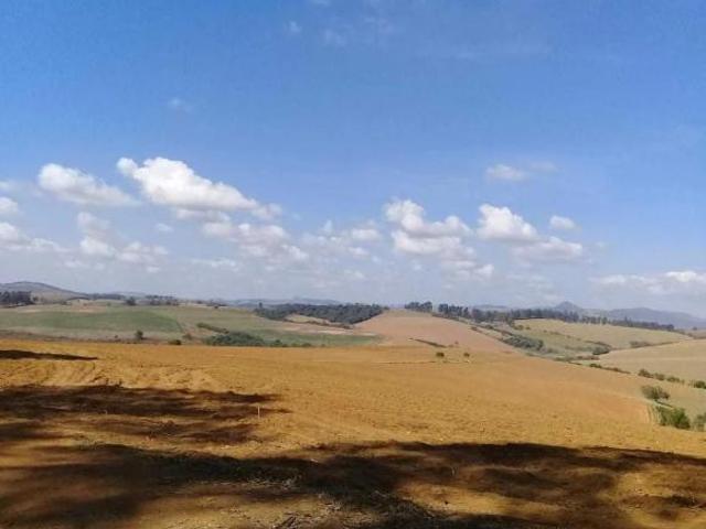 Fazenda em Sp 207 Centro São Sebastião da Grama/SP