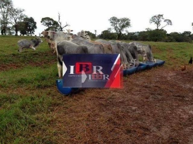 Fazenda em Tacuru MS