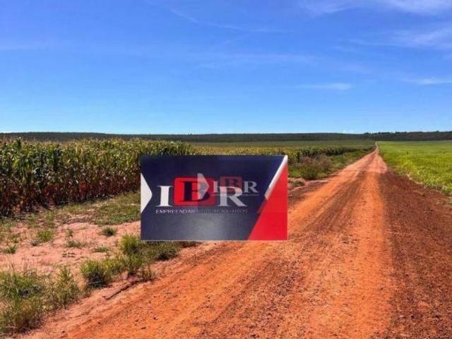 Fazenda em Tangara da Serra MT