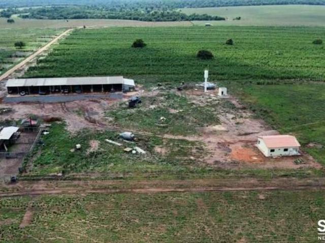 FAZENDA EM TANGARA DA SERRA MT