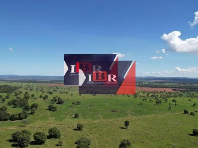 Fazenda em Terenos MS