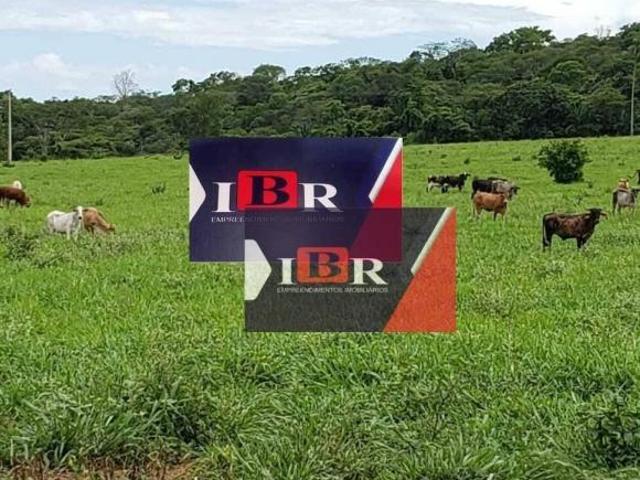 Fazenda em Terenos MS