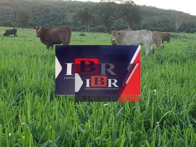 Fazenda em Terenos MS