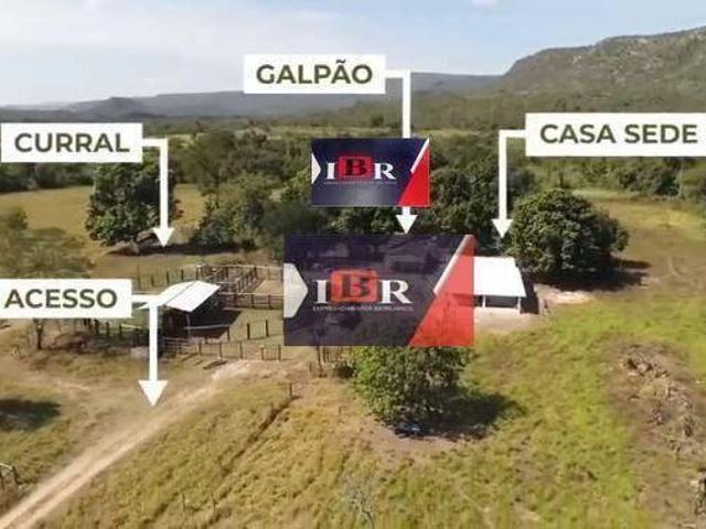 Fazenda em Teresina de Goiás GO