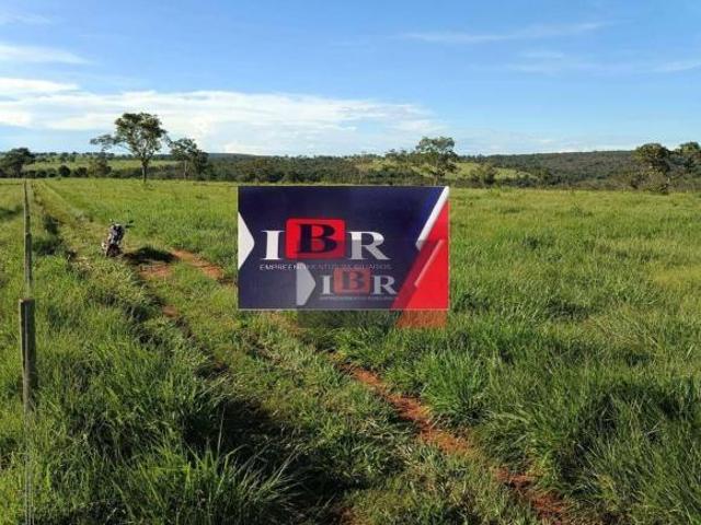 Fazenda em Torixoréu – MT