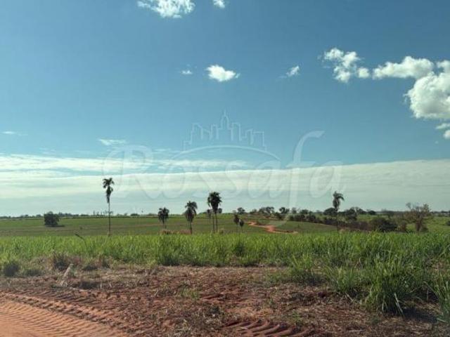 Fazenda em Três Fronteiras Santa Fé do Sul/SP