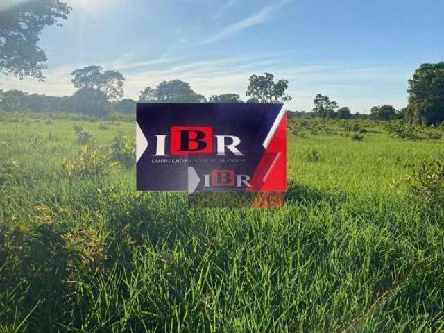Fazenda em Tres Lagoas MS