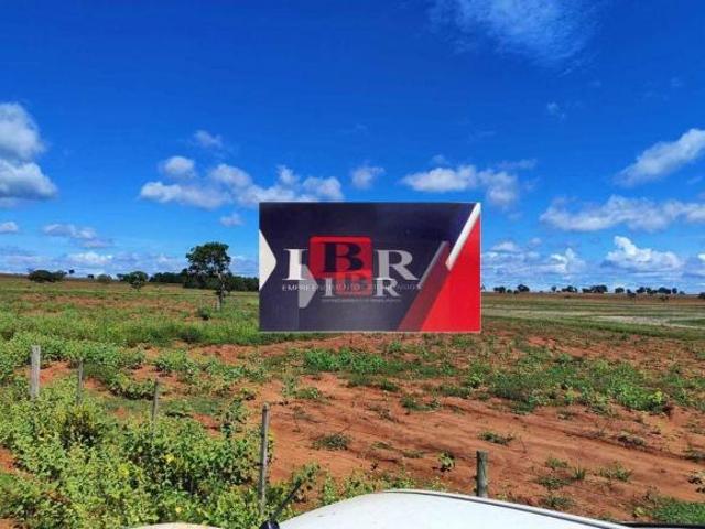 Fazenda em Três lagoas MS