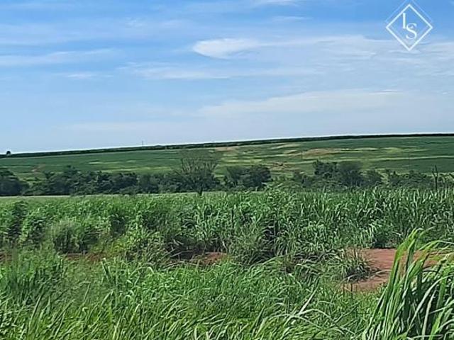 Fazenda em Uberaba/MG com 720 ha, plantação cana