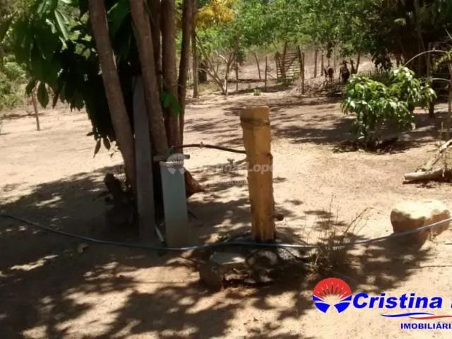 Fazenda em Socopo, Teresina/PI de 10m² 1 quartos à venda por R$ 359.000,00