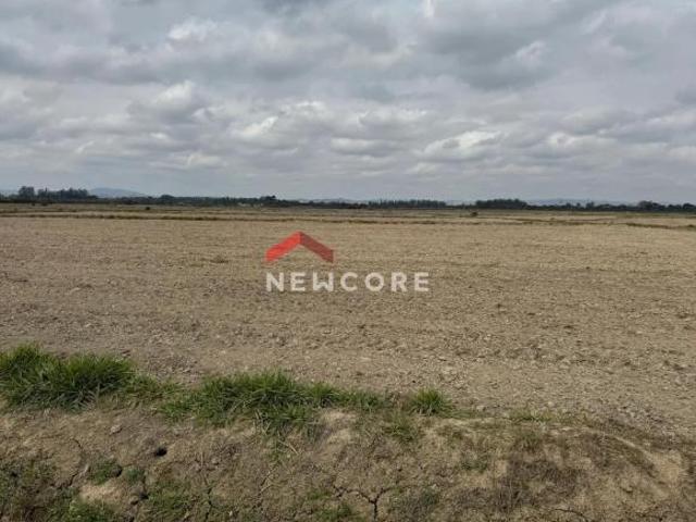 Fazenda em Vgv Estimado Em Hum Bilhão de Reais“filé de Area”de Empreendedorismo Turistico Em Treme