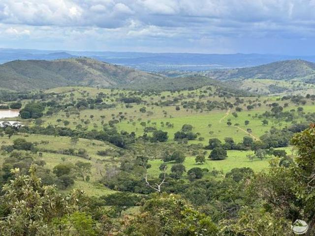 FAZENDA EM VILA PROPÍCIO/GO PROPRIEDADE RICA EM ÁGUA COM INFRAESTRUTURA COMPLETA PARA O MANEJO DE