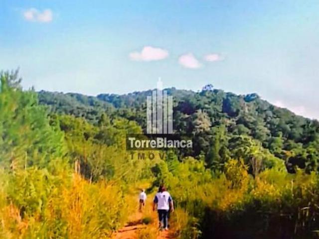 Fazenda em Zona Rural, Barra Do Chapéu/SP de 459000m² à venda por R$ 570.000,00