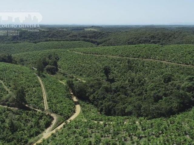 Fazenda em Zona Rural Jacupiranga