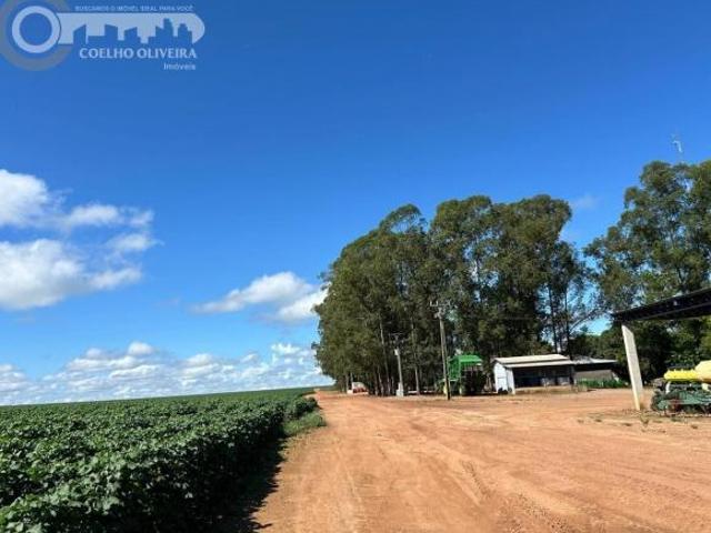 Fazenda em zona rural Sinop MT