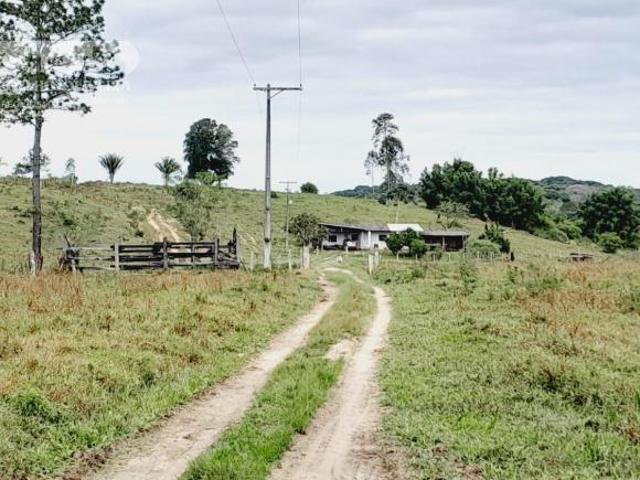Fazenda em Zona Rural Pariquera Açu SP