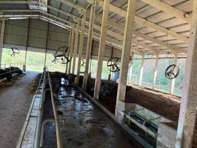 Fazenda em Zona Rural Registro Sp Registro