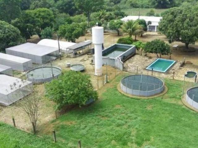 FAZENDA ESCRITURADA NOVO GAMA GO PISCICULTURA OUTORGA ANA ENERGIA SOLAR ACEITA IMÓVEIS