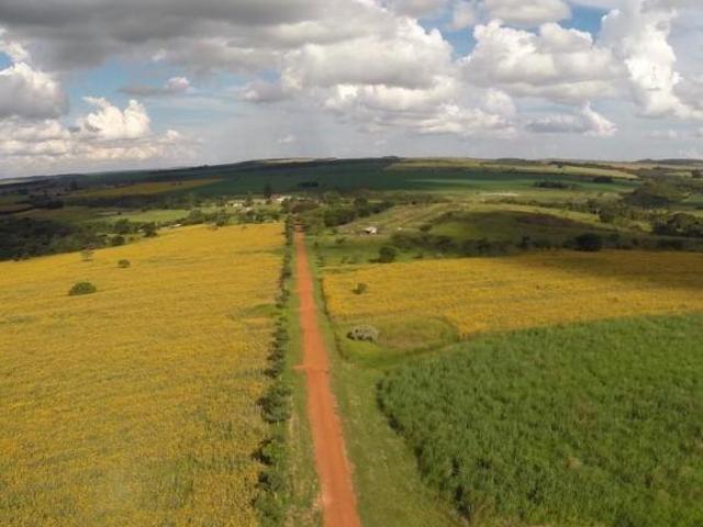 Fazenda Espetacular na Região Mais Produtiva de Grãos de Brasília 8.000.000