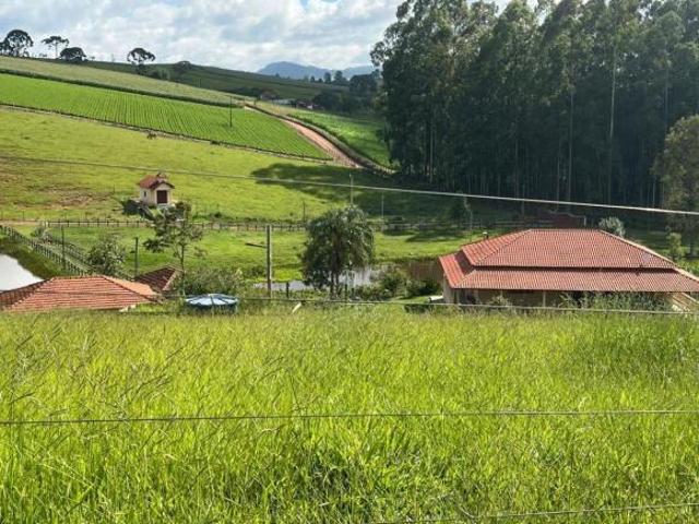 FAZENDA ESPETACULAR A VENDA EM MINAS GERAIS DE 242 HECTARES ESPECIAL PARA GADO