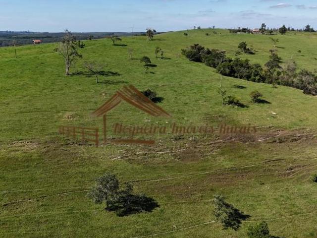Fazenda Espetacular à Venda – Região de Botucatu/SP