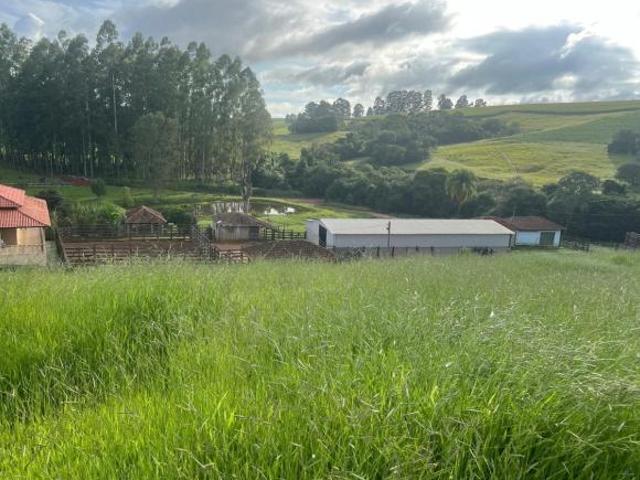 Fazenda Espetacular com 242 Hectares em Santa Rita de Caldas – Vocação para Pecuári