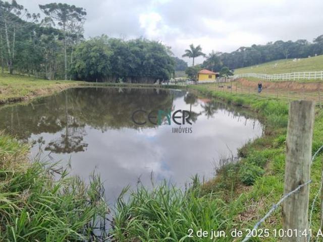 Fazenda espetacular de 53 ha em Barbacena MG