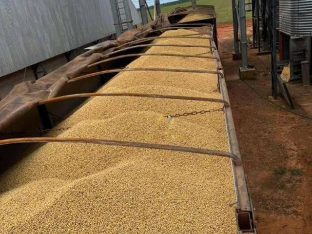 Fazenda espetacular 13.800 Hectares a venda na região do Xingu MT!