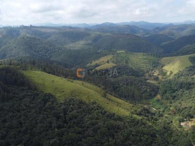 Fazenda, Estrado do Cerne, Campo Largo, PR