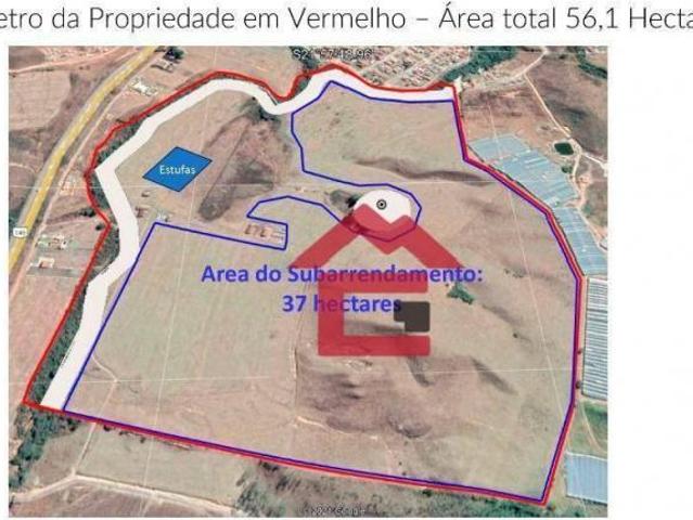 Fazenda Estratégica para Investimento – Produção de Alto Padrão