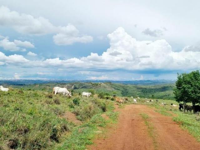 Fazenda Fantastica DF 190 50 km BsB