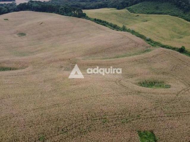 Fazenda Faxinal à venda, Socavão, Socavão, PR